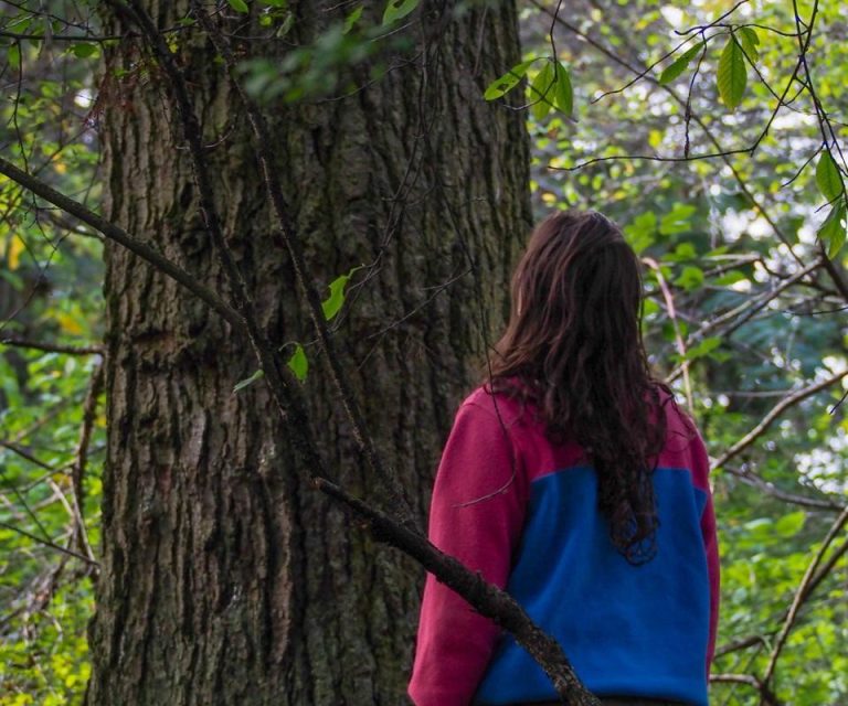 Immerse yourself in nature for restorative Forest Bathing – Swan Lake ...