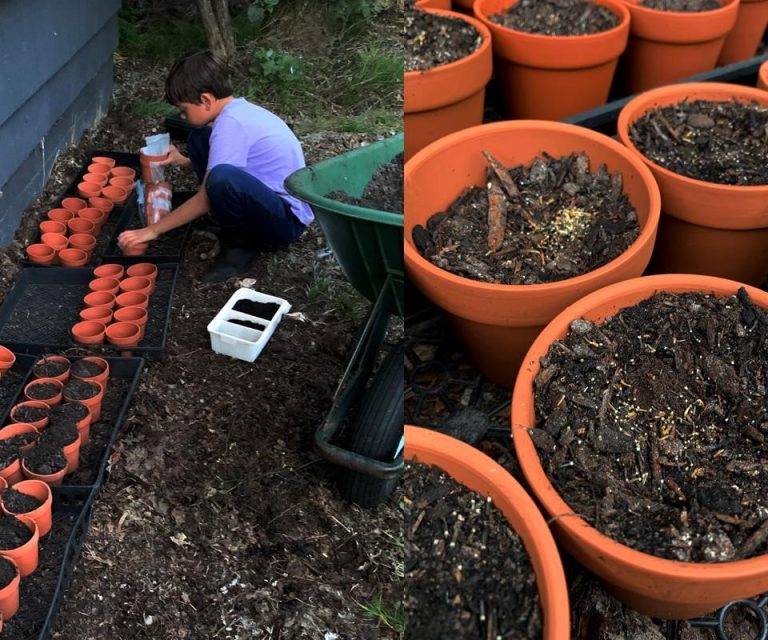 Starting small – Seed Sowers help establish new native plants to ...